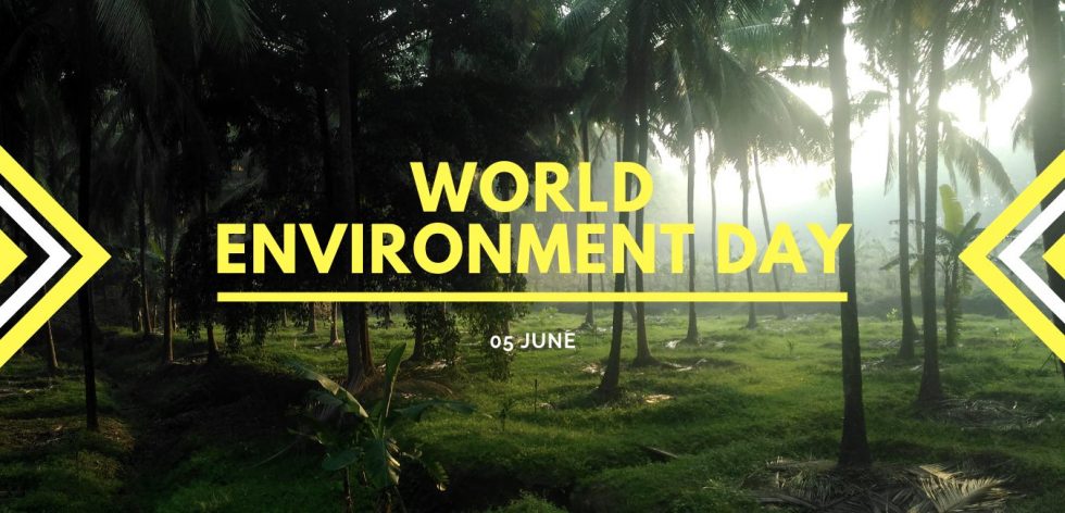 15 Things You Can Pledge on World Environment Day 2019 - Laura M ...